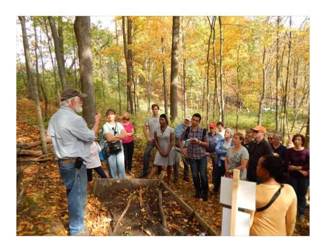 Forest Farming – Agroforestry for Any Property - UW-Madison Extension ...