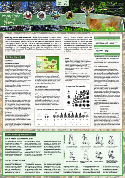 Woody Cover for Wildlife - UW-Madison Extension Forestry