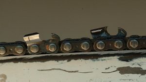 What do the different paint colors mean? - UW-Madison Extension Forestry