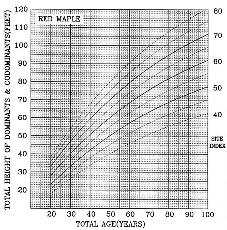 Tracking changes to your trees and woods: Measuring growth - UW-Madison ...