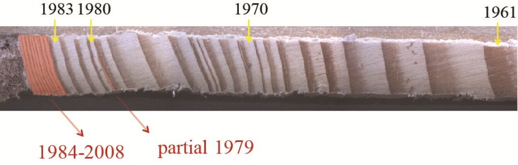 Tracking changes to your trees and woods - UW-Madison Extension Forestry