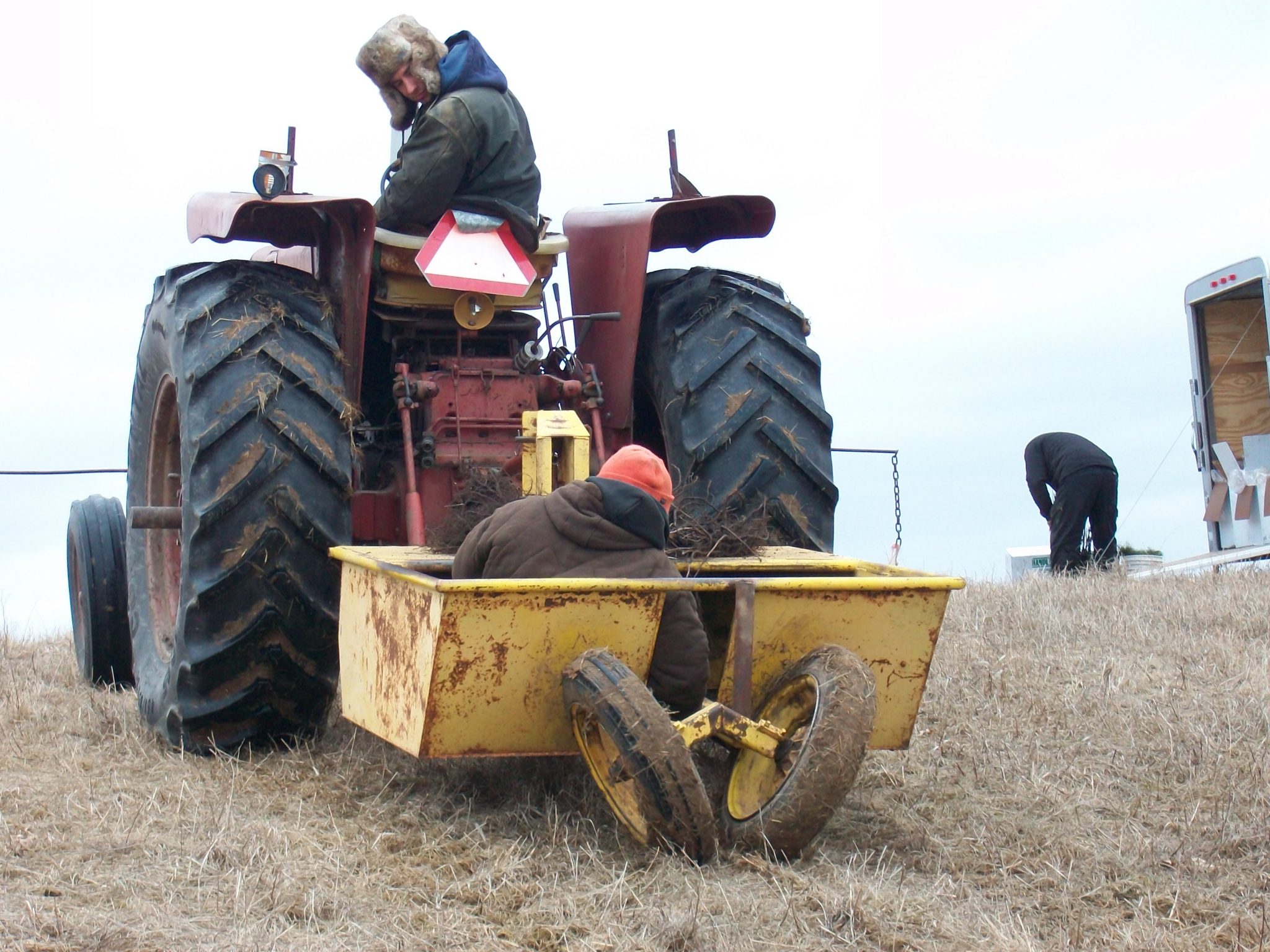 Tree planting - It’s all in the details - UW-Madison Extension Forestry