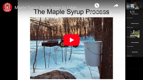 Maple Syrup: From Trees to Table - UW-Madison Extension Forestry