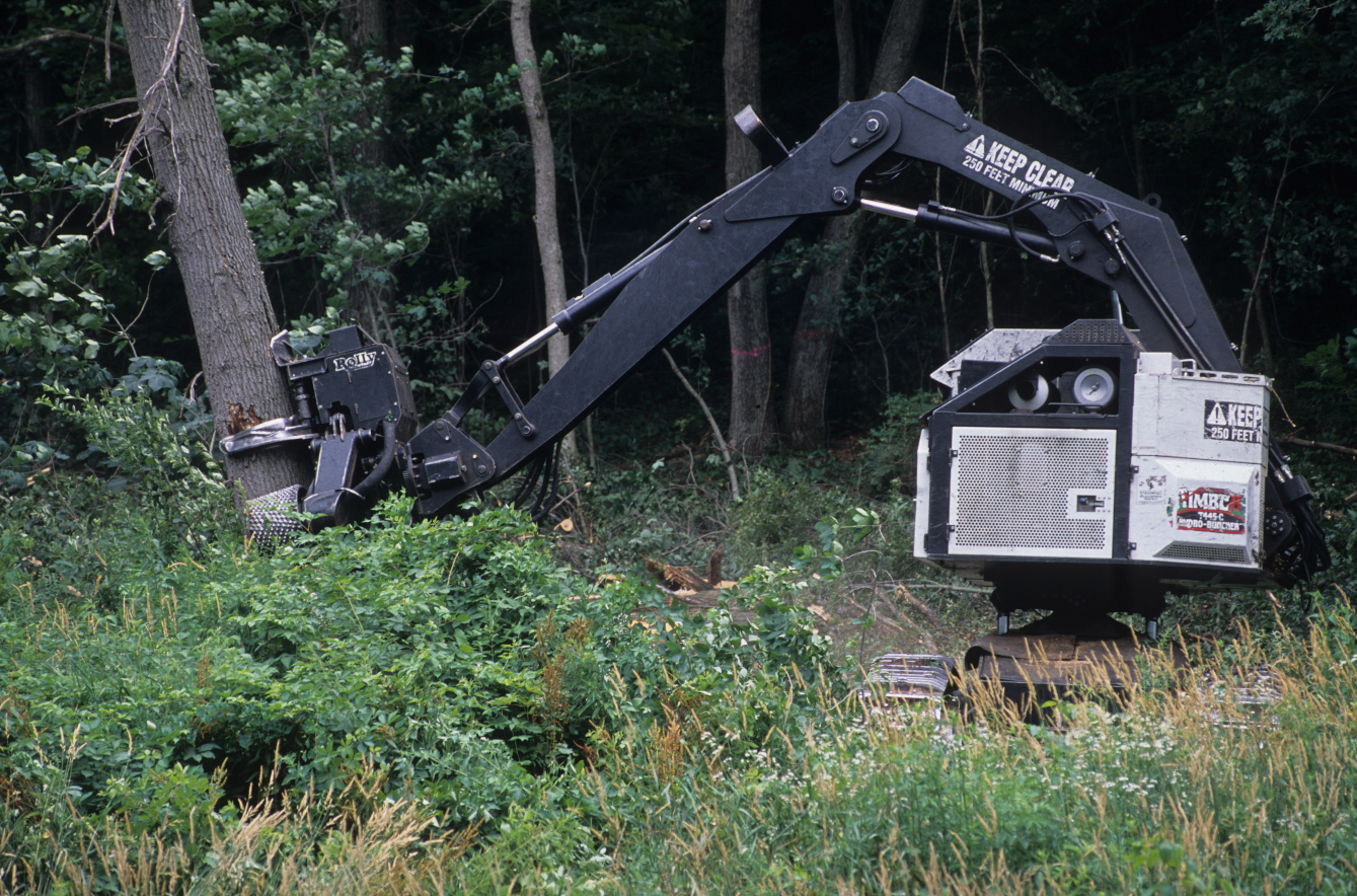Timber harvesting and sales – UW-Madison Extension Forestry
