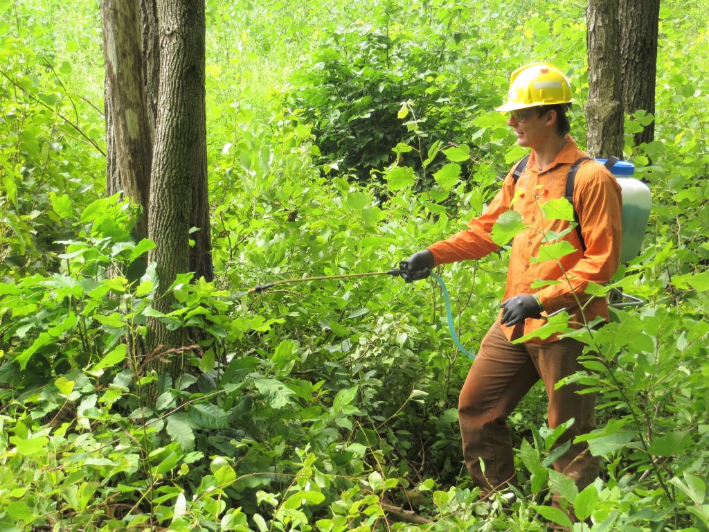 Getting Things Done in Your Woods 2025 - UW-Madison Extension Forestry