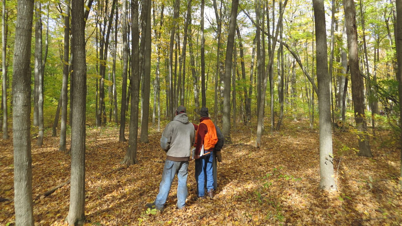 Wisconsin Stewardship Plan Project - UW-Madison Extension Forestry