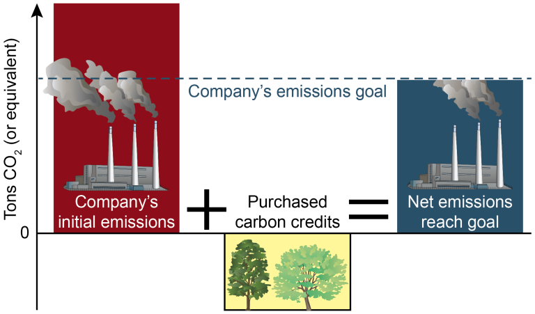 Forest Carbon Markets - UW-Madison Extension Forestry