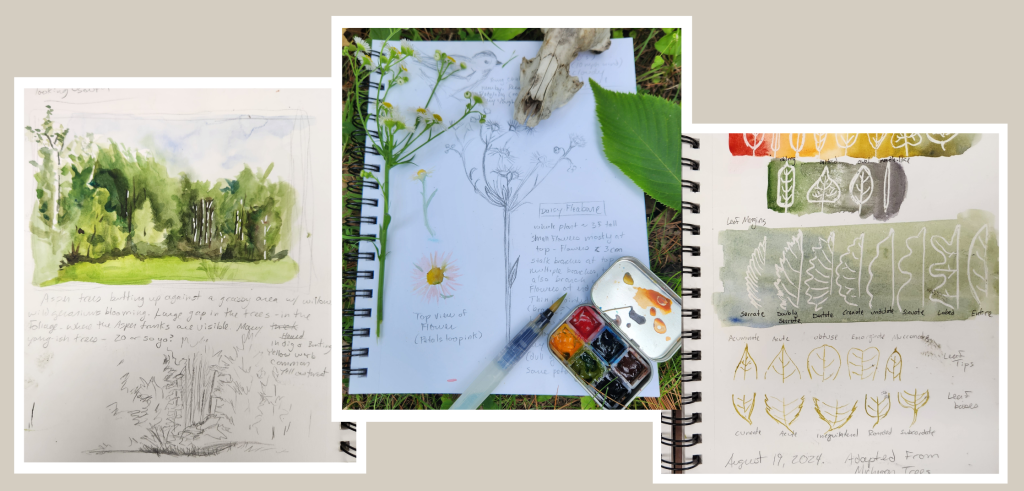 Women's Nature Journaling Hike - UW-Madison Extension Forestry
